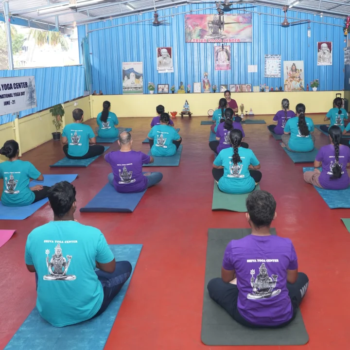 Best Yoga Studios In Ashok Nagar Chennai | Shiva Yoga Center